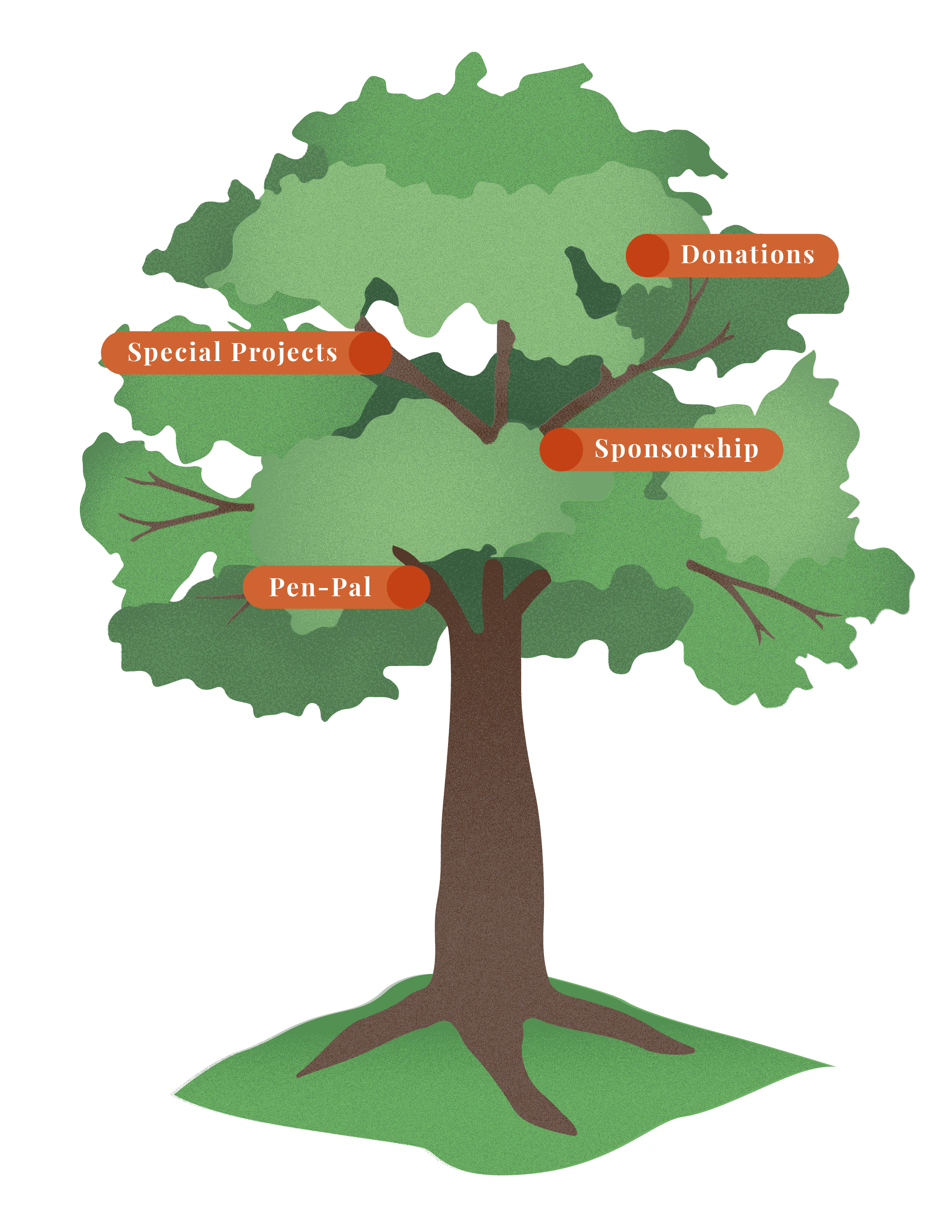 Take Action – Tree of Life Ministries